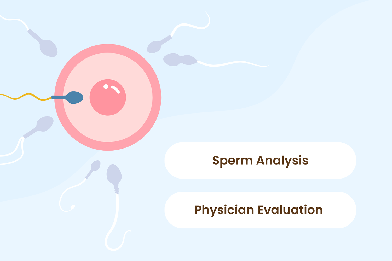 Specials & Discounts - Reproductive Fertility Center