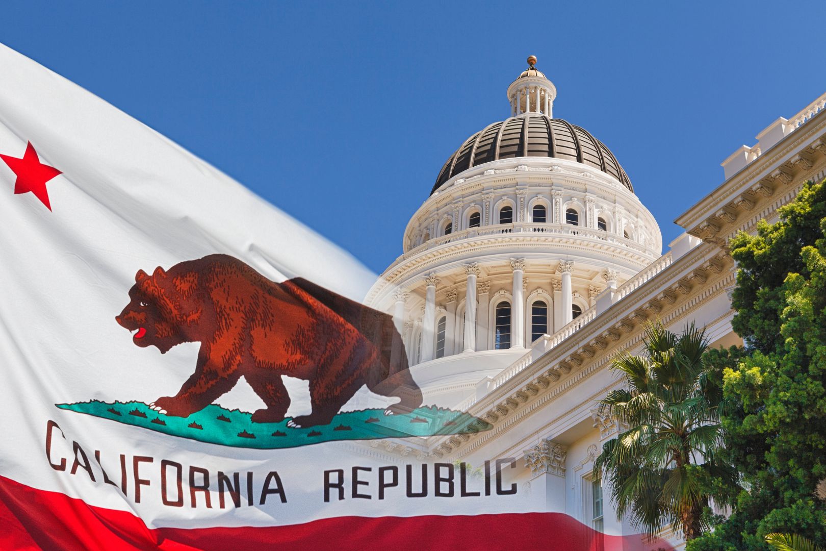 Top 5 California Fertility Laws You Need to Know - Reproductive ...